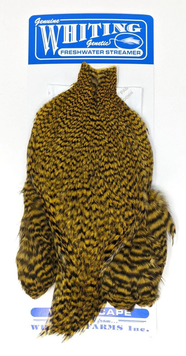 Freshwater Streamer Hen Cape Grizzly- Whiting – My Store